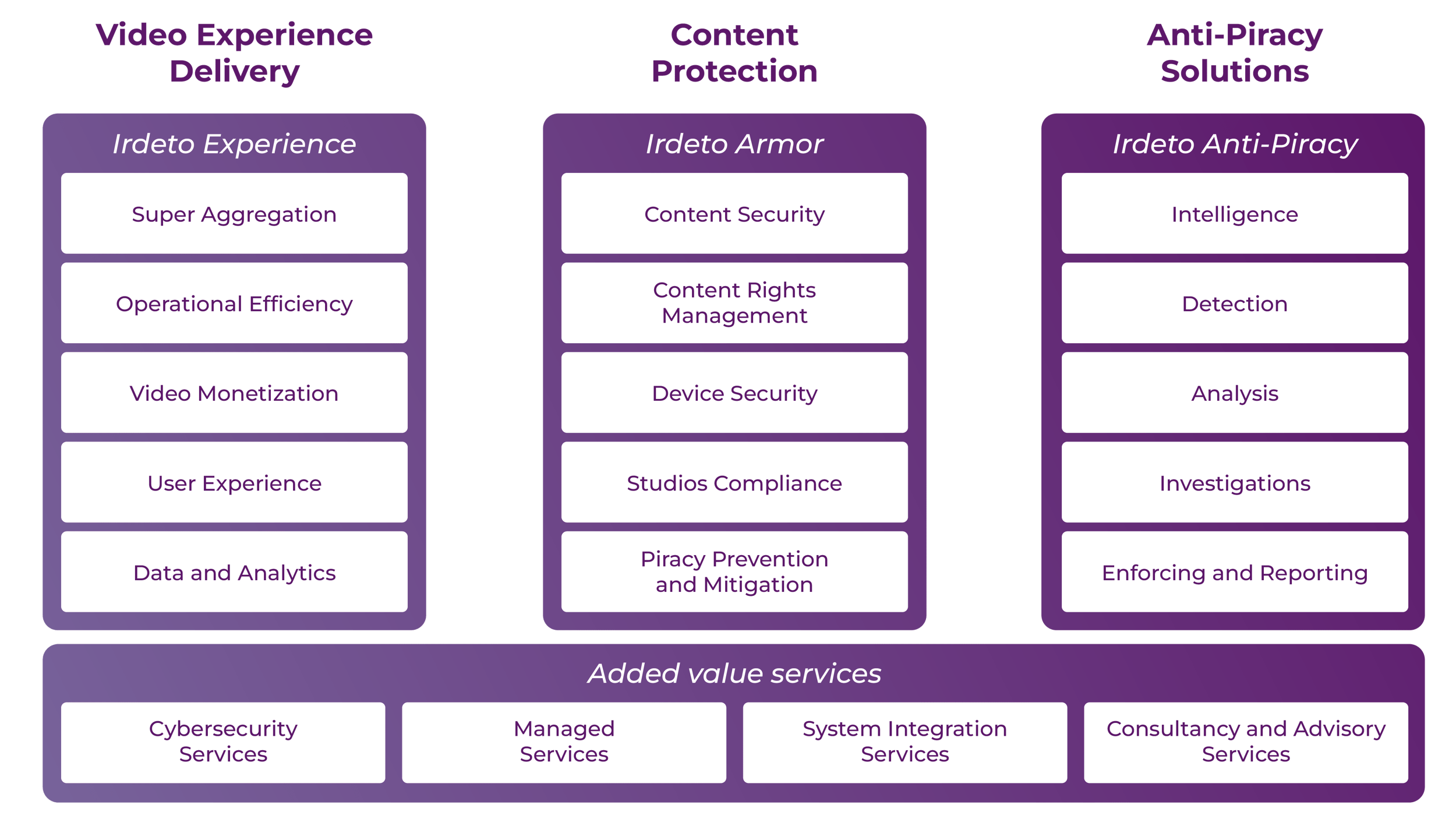 Video Entertainment: A global leader in video security and beyond